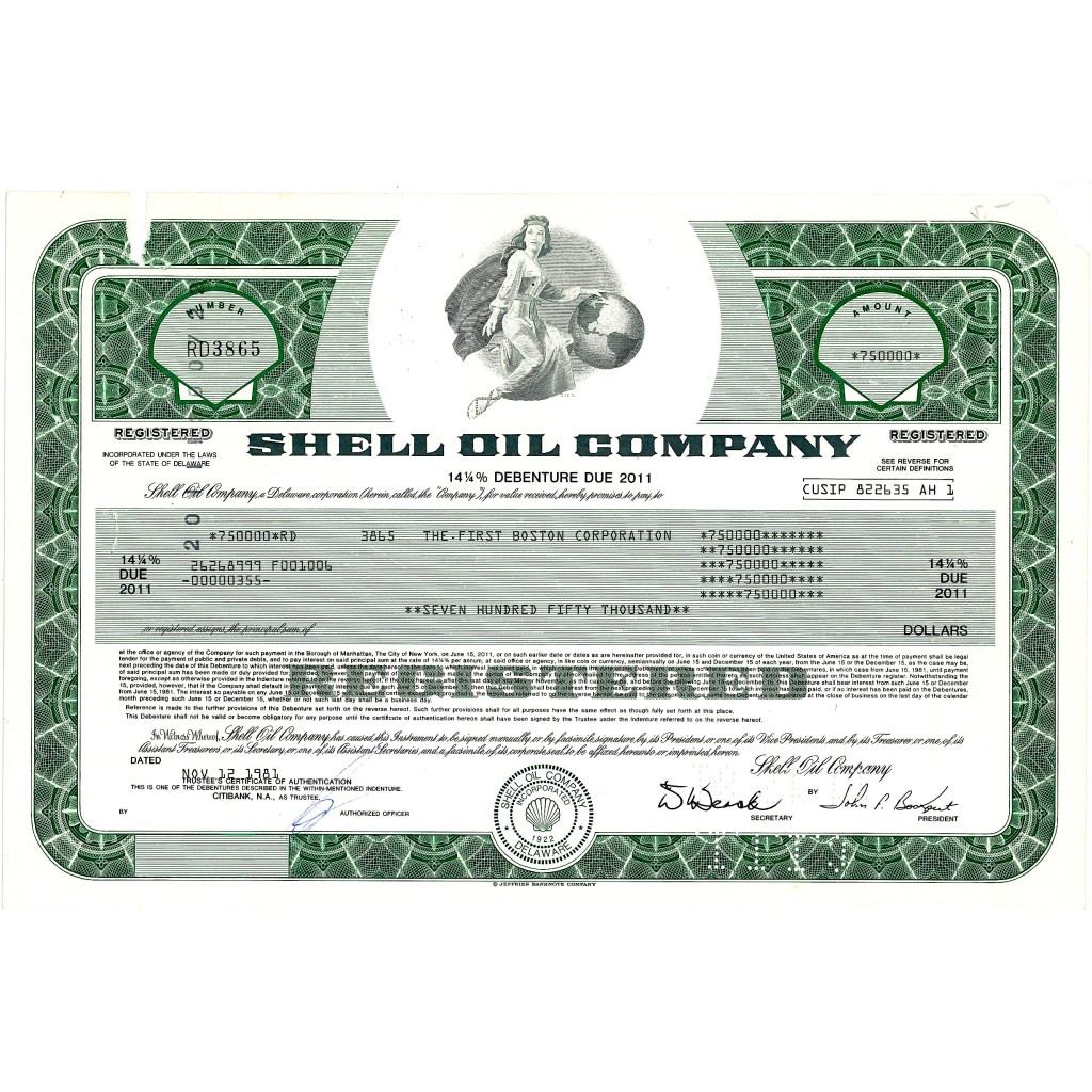 1981 - SHELL OIL COMPANY